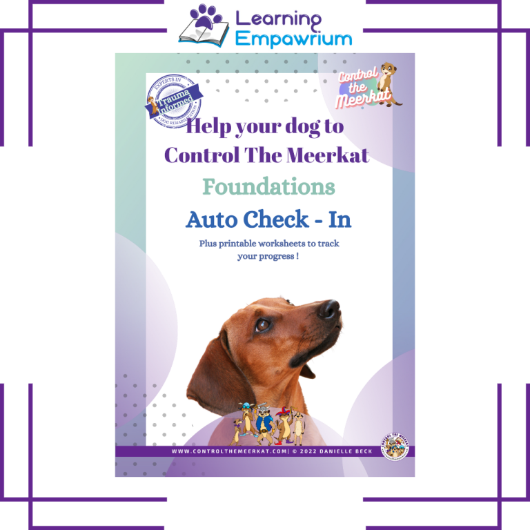 Auto Check-In E-Book » Control The Meerkat