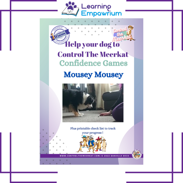 Mousey Mousey » Control The Meerkat