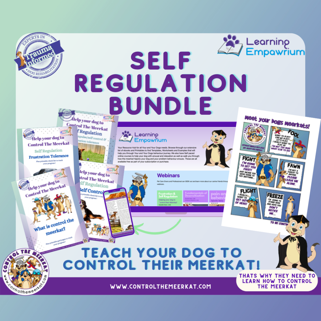 Self Regulation Bundle » Control The Meerkat