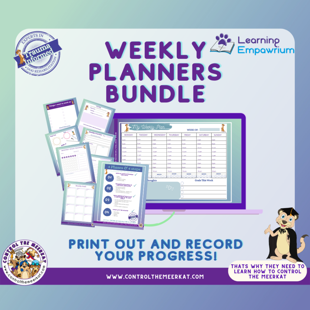 Weekly Planner Bundle » Control The Meerkat