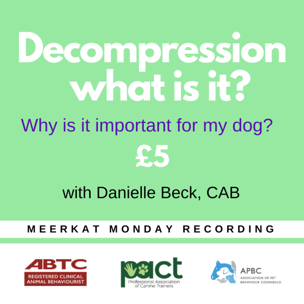 Decompression - What is it? Why is it important for my dog? » Control ...