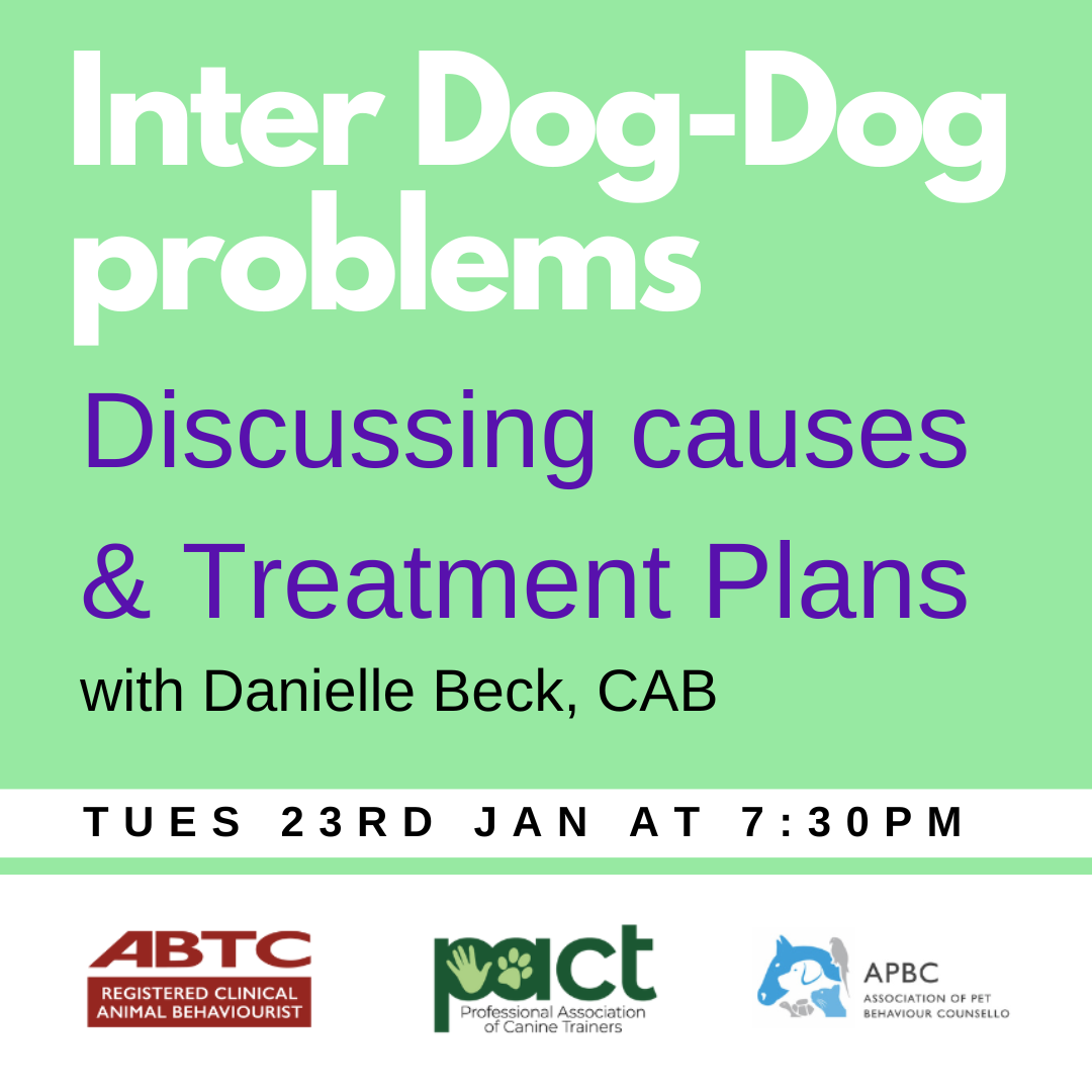 Inter Dog-Dog problems – Discussing causes & Treatment Plans Tuesday ...