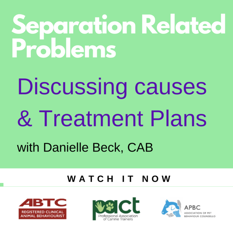 Separation Related Problems – Discussing causes & Treatment RECORDING ...